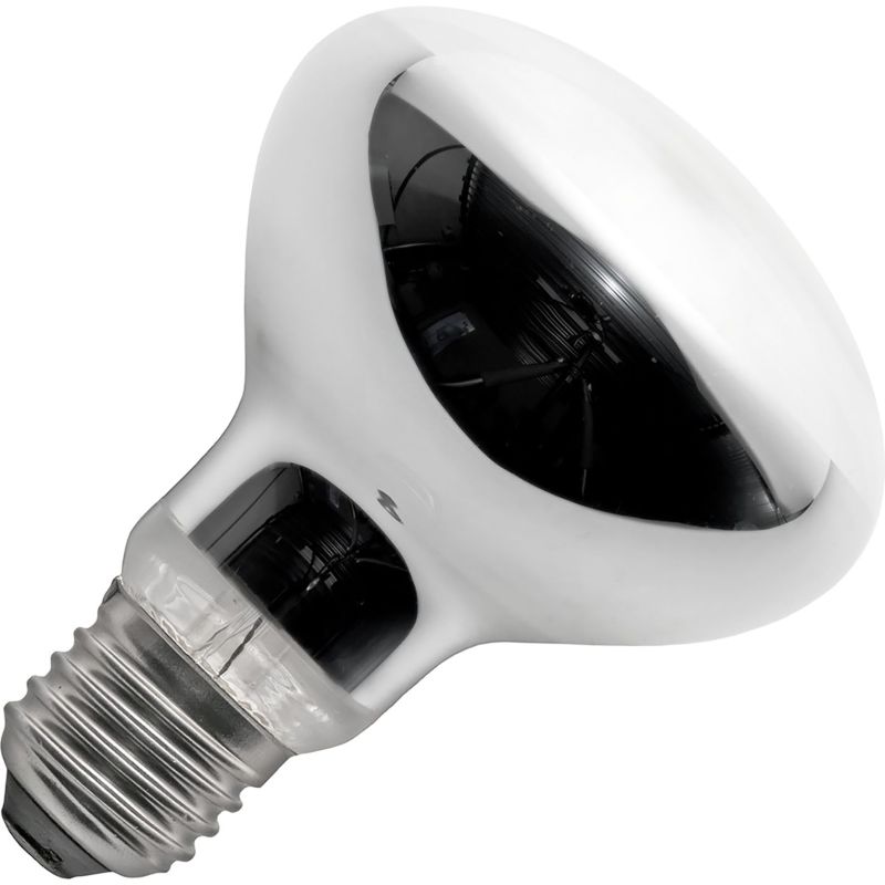 SPL | Grote fitting E27 | R-klof/reflectorlamp | 80mm | 53W